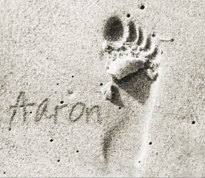 Create a Sand Writing Effect | Anna Aspnes Designs