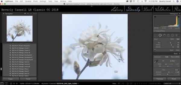 Best Photo Editing Process Tutorial | Anna Aspnes Designs