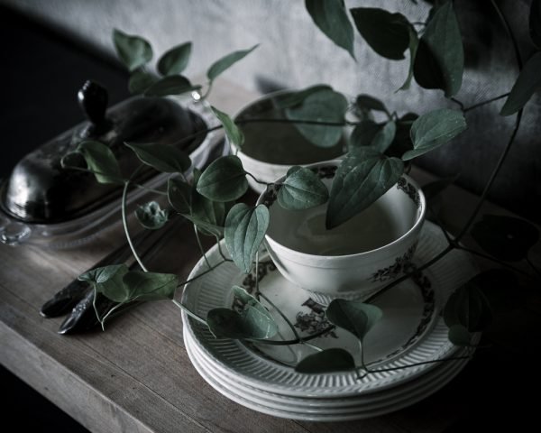 Quick Guide to Still Life Photography - Anna Aspnes Designs