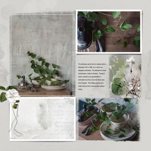 Quick Guide to Still Life Photography - Anna Aspnes Designs