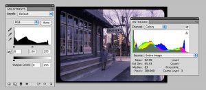 Levels Color Correction Technique - Anna Aspnes Designs