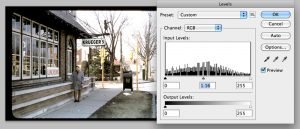 Levels Color Correction Technique - Anna Aspnes Designs