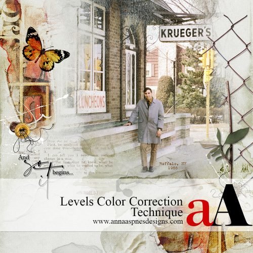 Levels Color Correction Technique - Anna Aspnes Designs