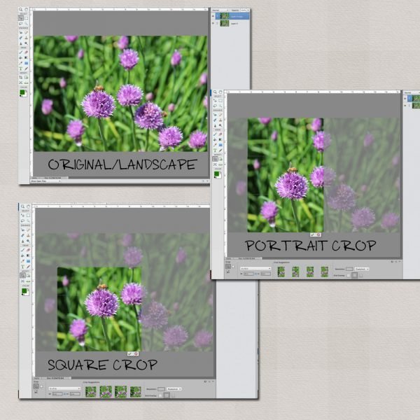 Creatively Cropping Your Photos | Anna Aspnes Designs