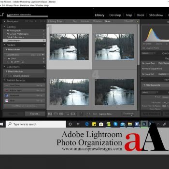 Adobe Lightroom Photo Organization - Anna Aspnes Designs