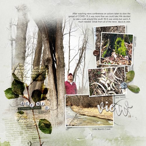 COVID-19 Scrapbook Inspiration - Anna Aspnes Designs