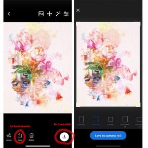 Adobe Photoshop Camera App - Anna Aspnes Designs