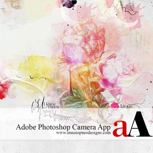 Adobe Photoshop Camera App - Anna Aspnes Designs