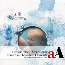 Custom Inset Dimensional Frames - Anna Aspnes Designs