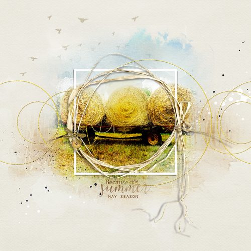 5 Ways to Create a Focal Point Using Frames | Anna Aspnes Designs