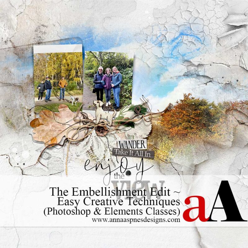 The Embellishment Edit in Adobe Photoshop and Elements: Easy Creative ...